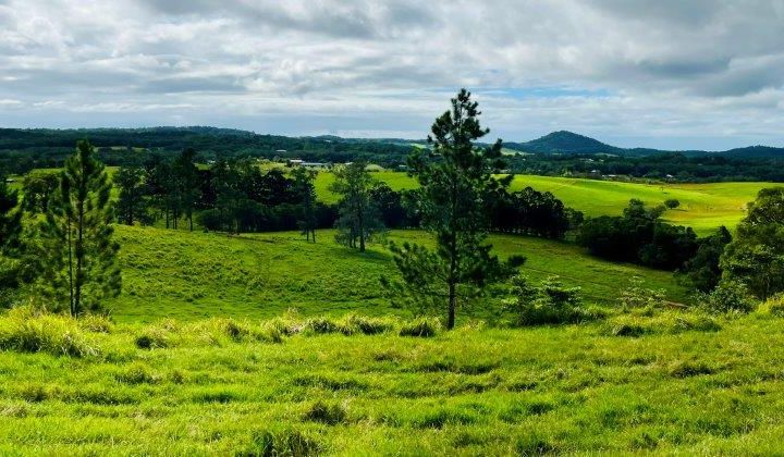 The Pines, Julatten - Slaney & Co.