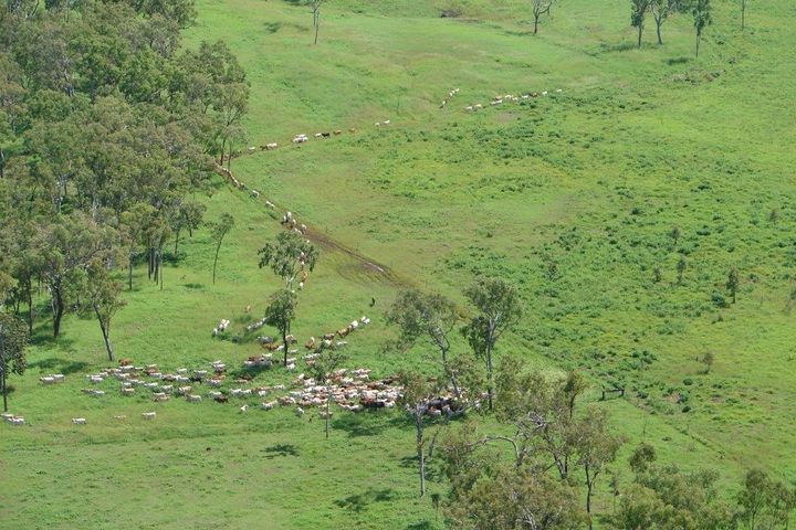 Springvale Station, Lakeland - Slaney & Co.