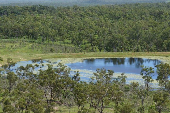 Springvale Station, Lakeland - Slaney & Co.