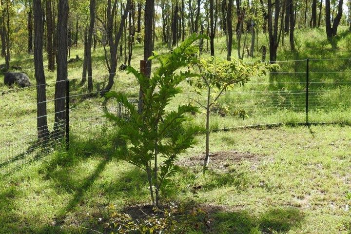 35004 Gregory Development Road, Broughton - Slaney & Co.