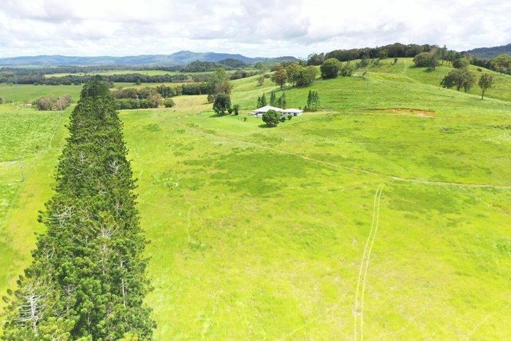 The Pines, Julatten - Slaney & Co.